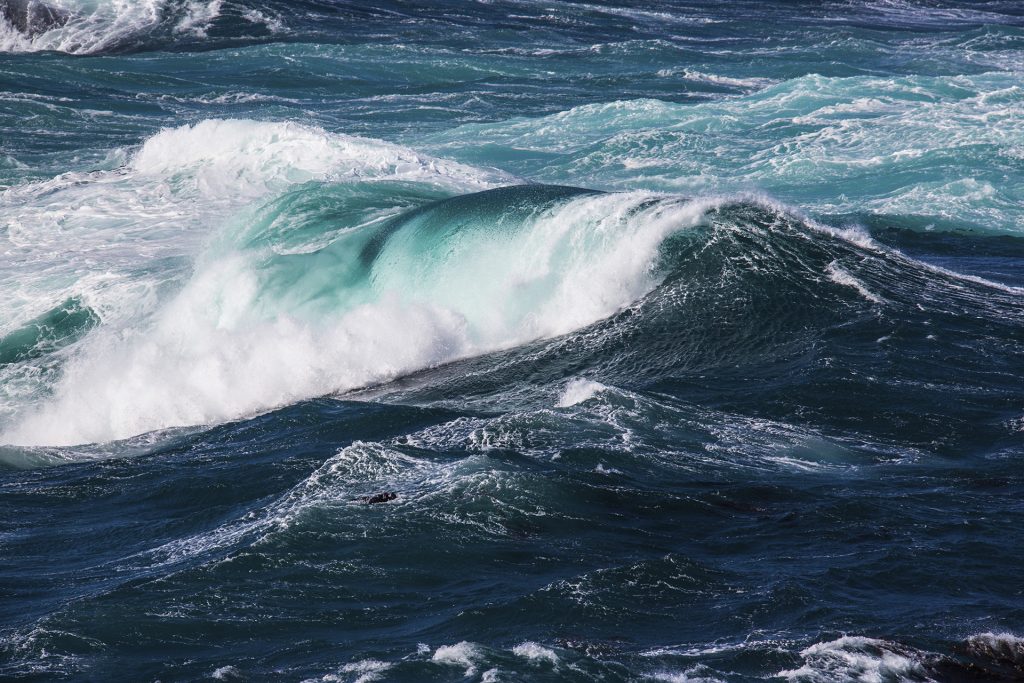 Chile riding the blue energy wave | Tecnalia